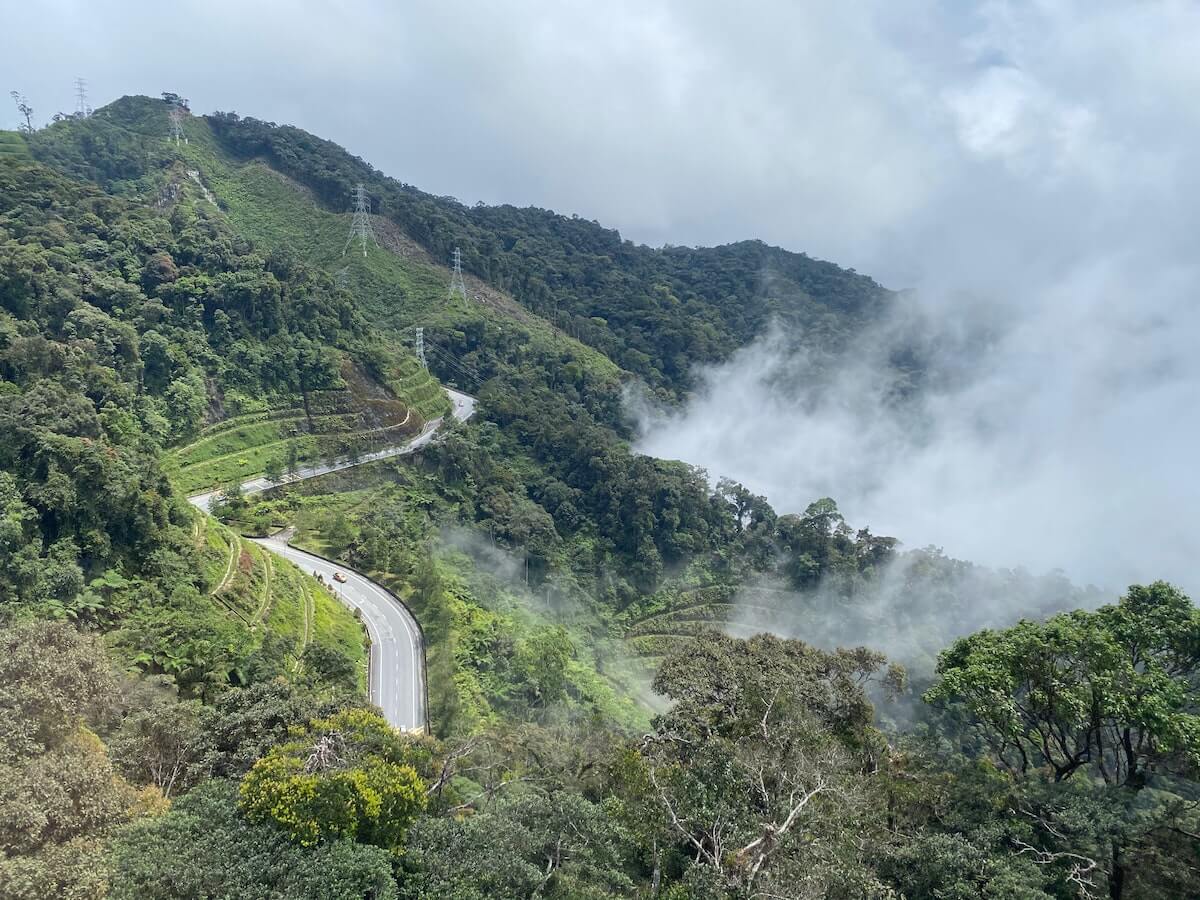 Sekinchan Day Trip From KL: 10 Best Things to Do & Eat