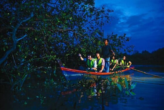 Sekinchan Day Trip From KL: 10 Best Things to Do & Eat